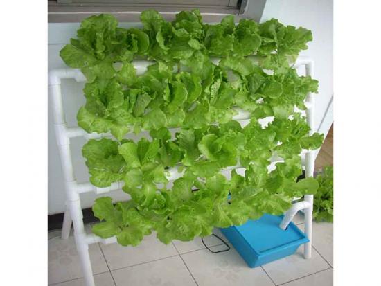 Double side NFT hydroponic stand Company